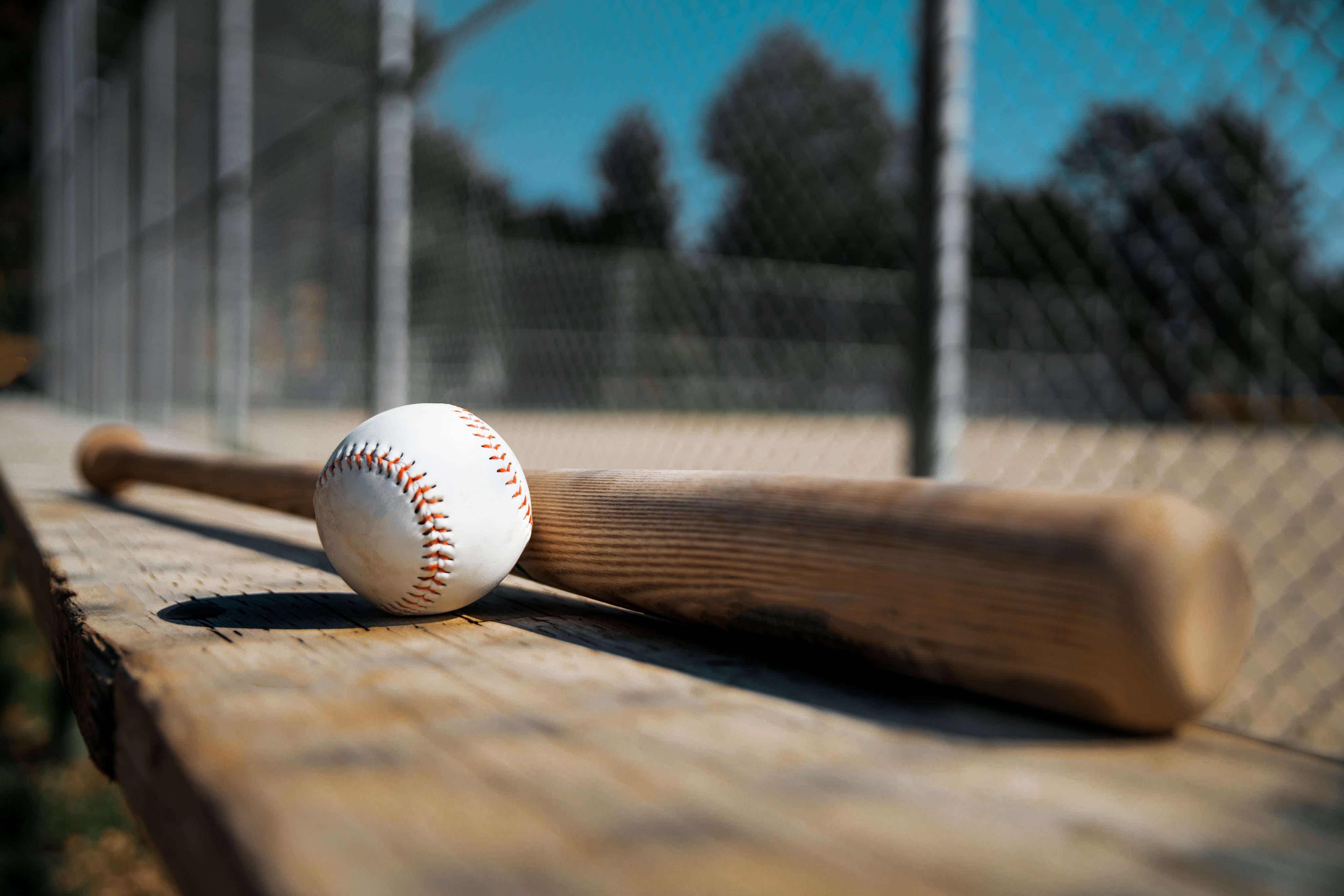 BASEBALL – Railing Shop Collective
